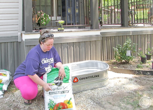 How to Plant an Easy Beginner Stock Tank Fruit Garden - Happily Ever ...