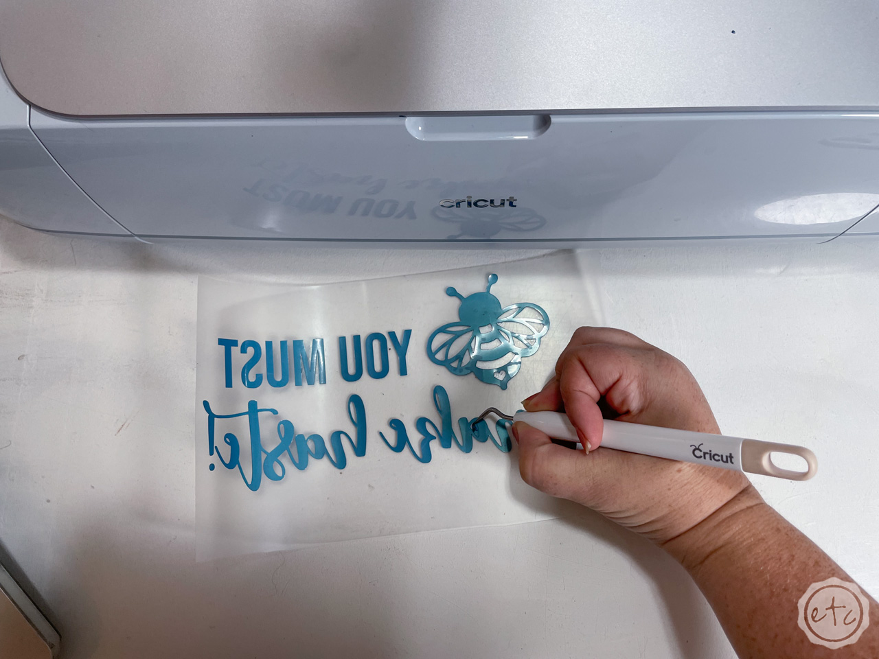 DIY Bridgerton T-Shirts with your Cricut (with FREE SVG's) - Happily ...